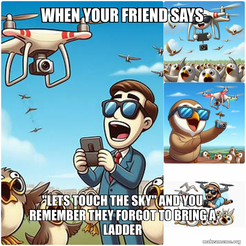 When your friend says "LETS touch the sky" and you remember they forgot ...