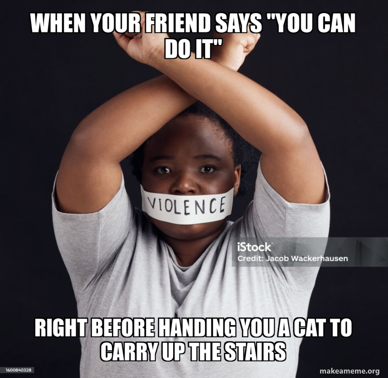 When your friend says "You can do it" Right before handing you a cat to ...