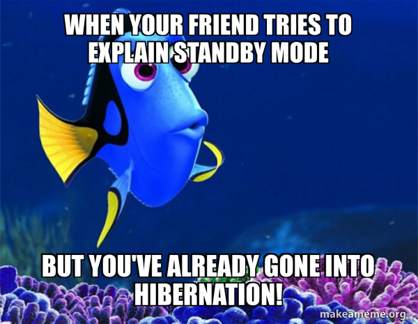 When your friend tries to explain standby mode But you've already gone ...