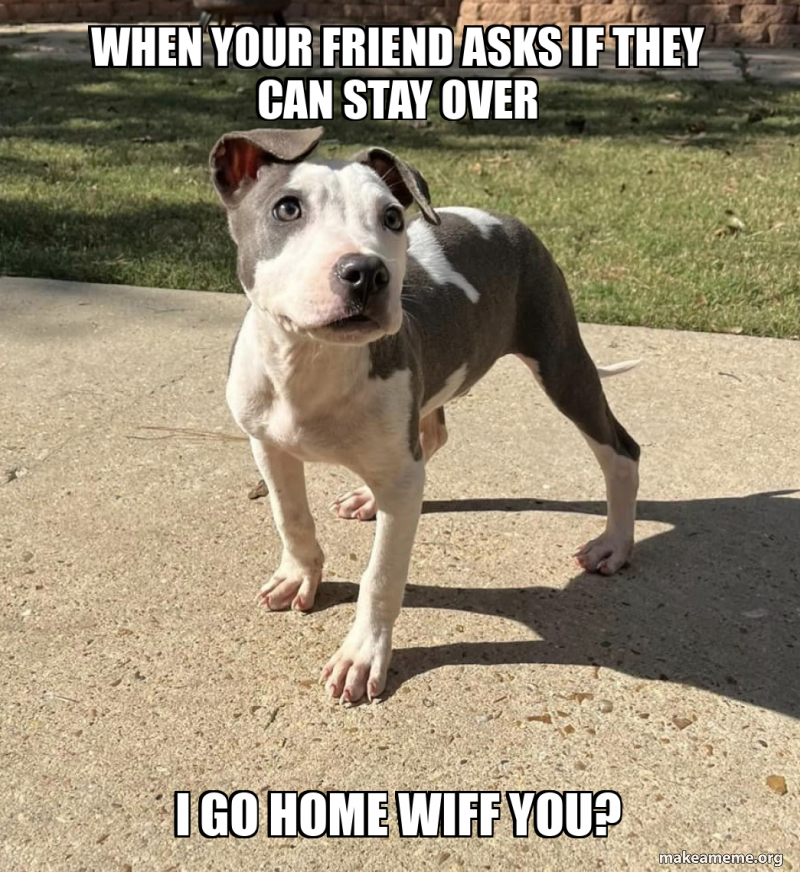 When your friend asks if they can stay over I go home wiff you? Meme ...