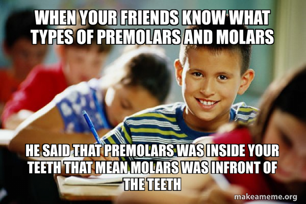 When your friends know what types of premolars and molars He said that ...