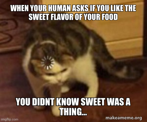 When your HUman asks if you like the sweet flavor of your food You ...