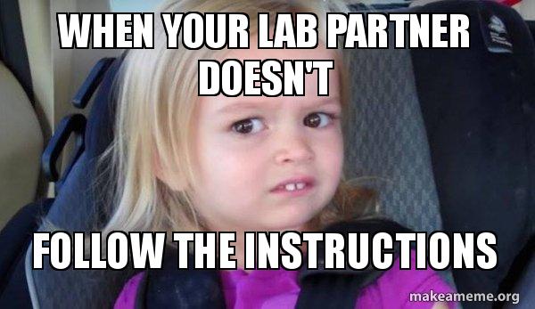 Lab Partner Memes Me And My Chem Lab Partner Were Besties > Follow