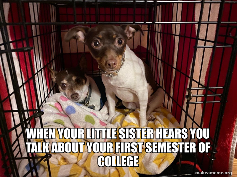 when your little sister hears you talk about your first semester of ...