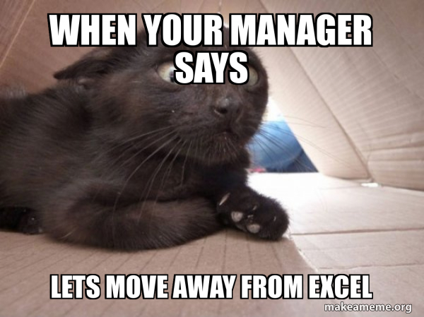 When your manager says Lets move away from excel - Schitzo Cat Meme ...