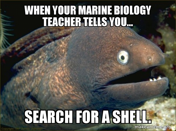 Marine Vriendin Memes EDEN CONFIDENTIAL: Bob Geldof Reveals The Real