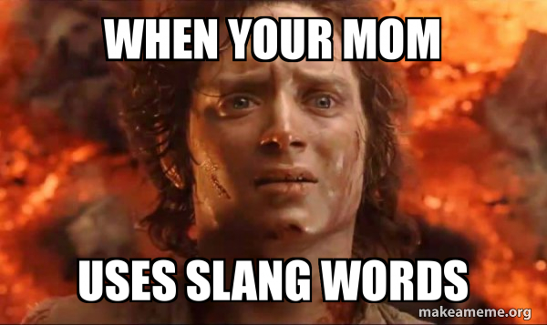 When your MoM Uses slang words - Frodo it's over it's done Meme Generator