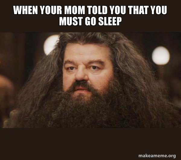 WHEN YOUR MOM TOLD YOU THAT YOU MUST GO SLEEP - Hagrid - I should not ...