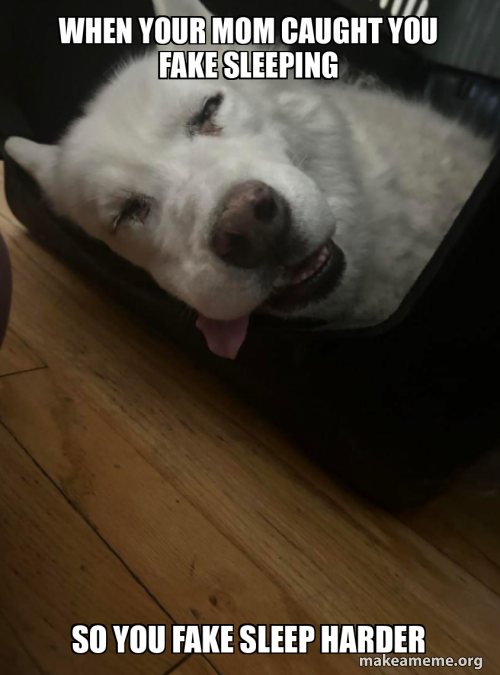 when your mom caught you fake sleeping So you fake sleep harder Meme ...