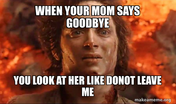 when your mom says goodbye you look at her like donot leave me - Frodo ...