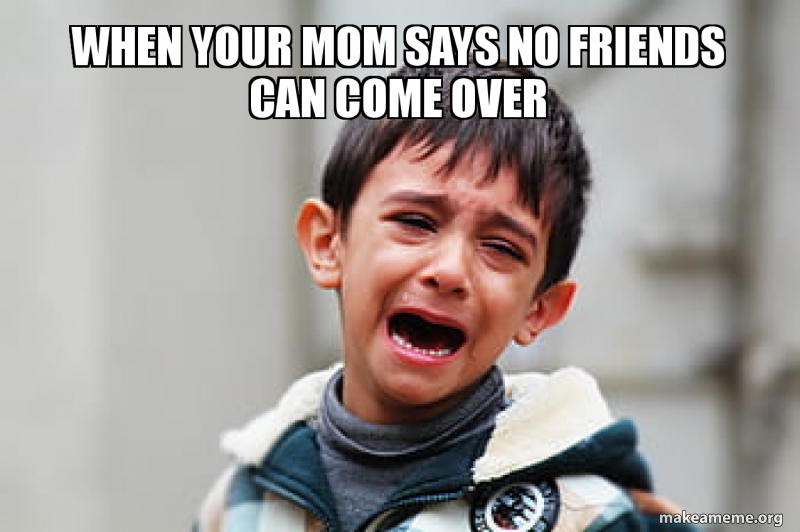 when your mom says no friends can come over Meme Generator