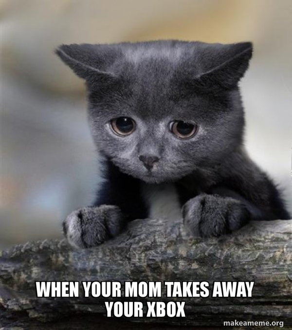 when your mom takes away your xbox - Confession Cat Meme Generator