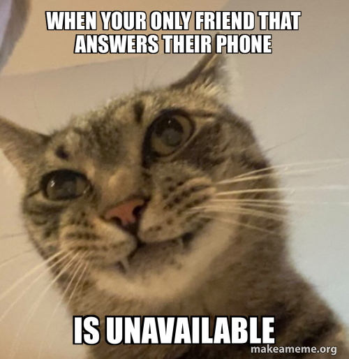 When your only friend that answers their phone Is unavailable Meme ...