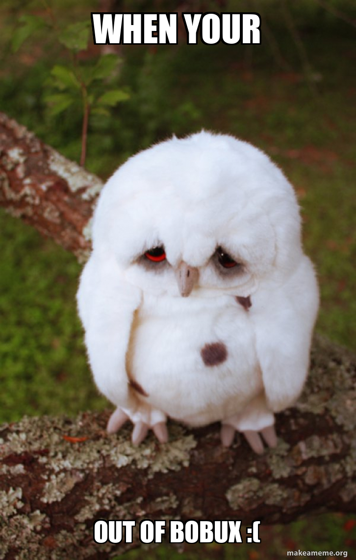 When your out of bobux :( - Sad Owl Meme Generator