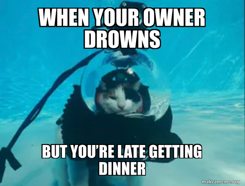 When your owner drowns But you’re late getting dinner Meme Generator