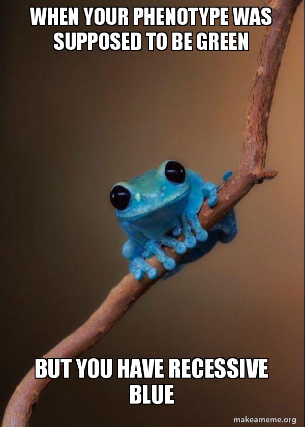 when your phenotype was supposed to be green but you have recessive ...