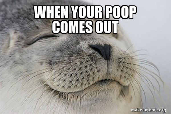 When your poop comes out - Satisfied Seal Meme Generator