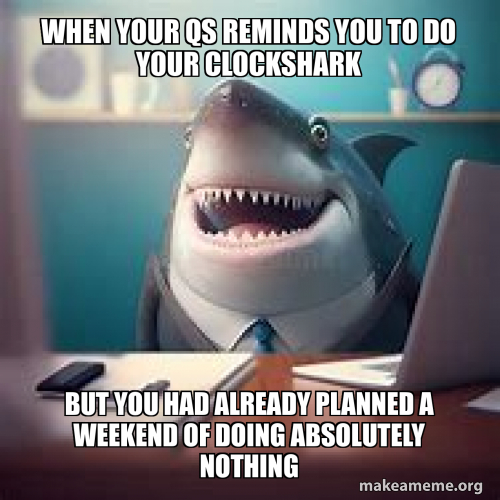 When your QS reminds you to do your Clockshark But you had already planned a weekend of doing ...