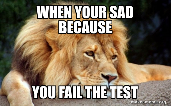 When your sad because you fail the test - Confession Lion Meme Generator