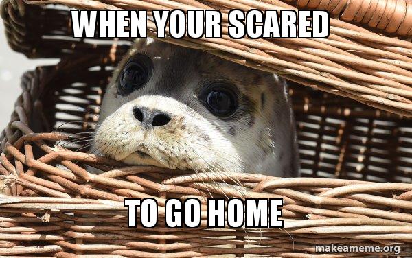 when your scared to go home - Impending Doom Seal Meme Generator