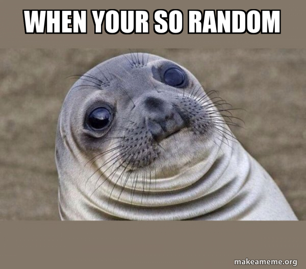 when your so random - Squeamish Seal Meme Generator