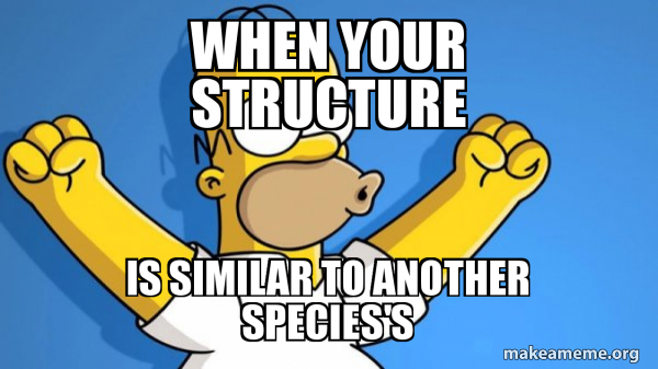 when your structure is similar to another species's - Happy Homer Meme ...