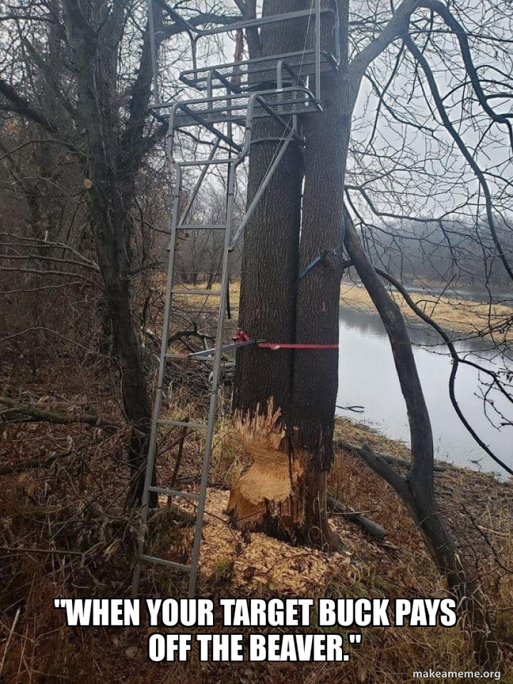 "When your target buck pays off the beaver." Meme Generator
