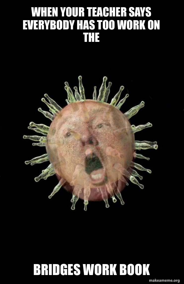 when your teacher says everybody has too work on the bridges work book ...