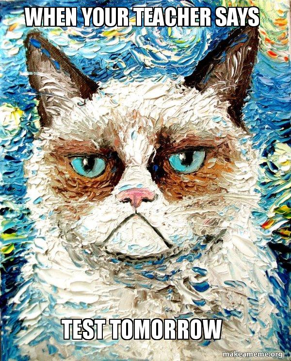 Grumpy Cat Test Memes
