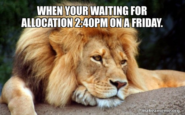 When your waiting for allocation 2:40pm on a Friday. - Confession Lion ...