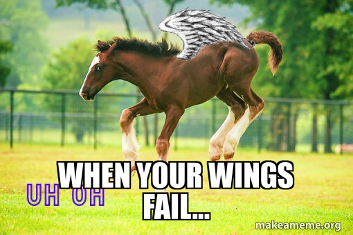 when your wings fail... Meme Generator