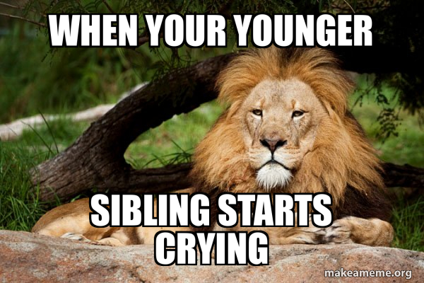 when your younger sibling starts crying - Contemplative Lion Meme Generator