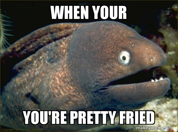 when your you're pretty fried - Bad Joke Eel Meme Generator