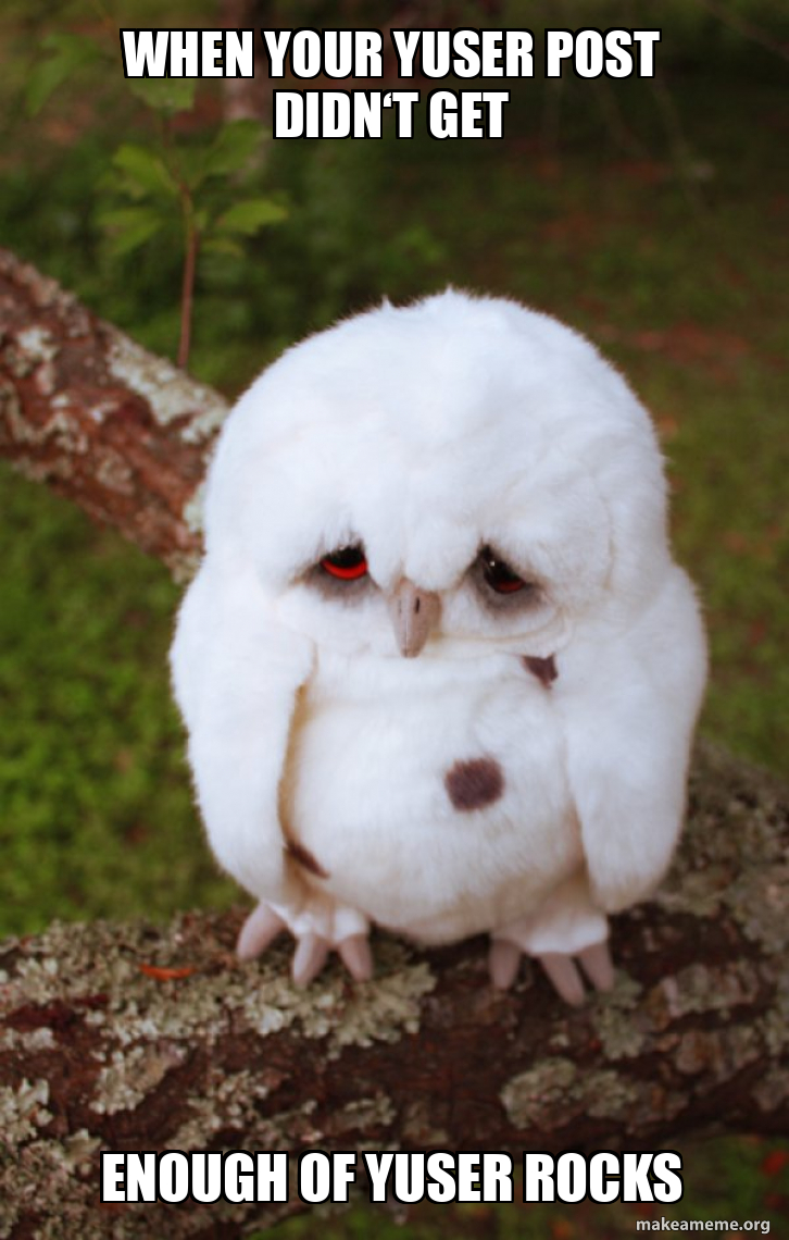 When your Yuser post didn‘t get Enough of Yuser Rocks - Sad Owl Meme ...