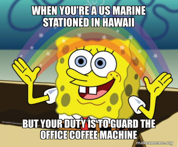 When you're a US Marine stationed in Hawaii But your duty is to guard ...