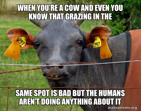 When you're a cow and even you know that grazing in the same spot is ...