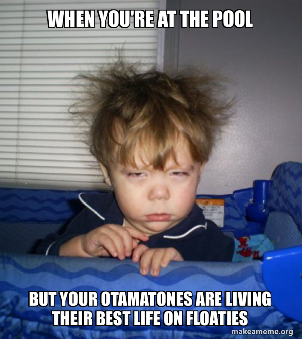 When you're at the pool But your otamatones are living their best life ...