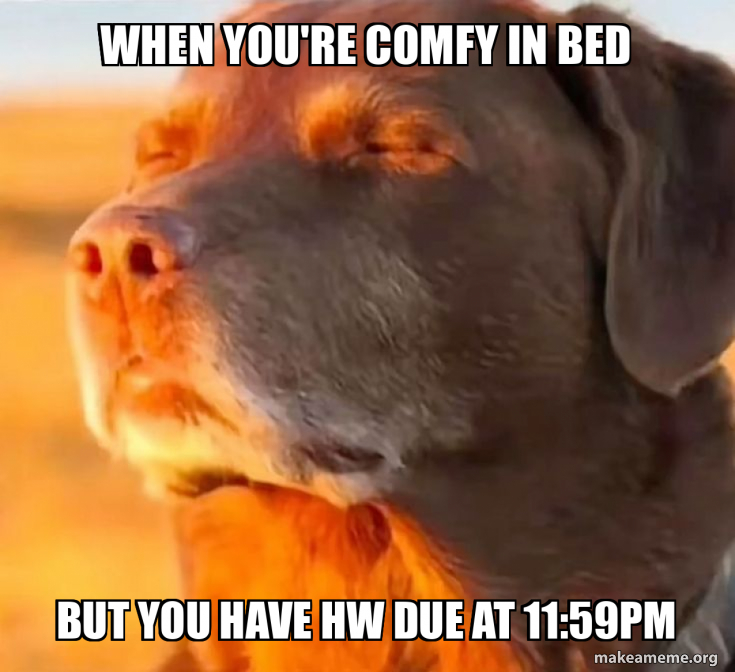 when you're comfy in bed but you have hw due at 11:59pm Meme Generator