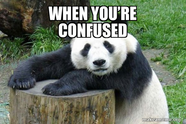 when you’re confused - Confession Panda Meme Generator