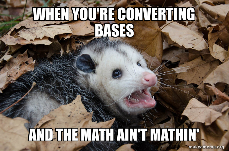 When You're converting bases And the math ain't mathin' Meme Generator