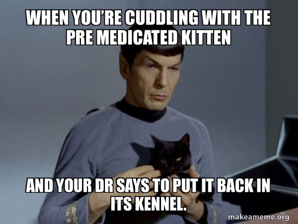 When you’re cuddling with the pre medicated kitten And your Dr says to ...