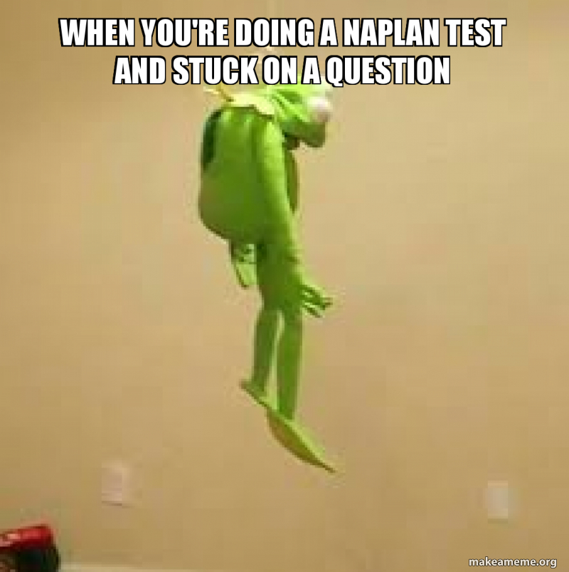 when you're doing a naplan test and stuck on a question Meme Generator