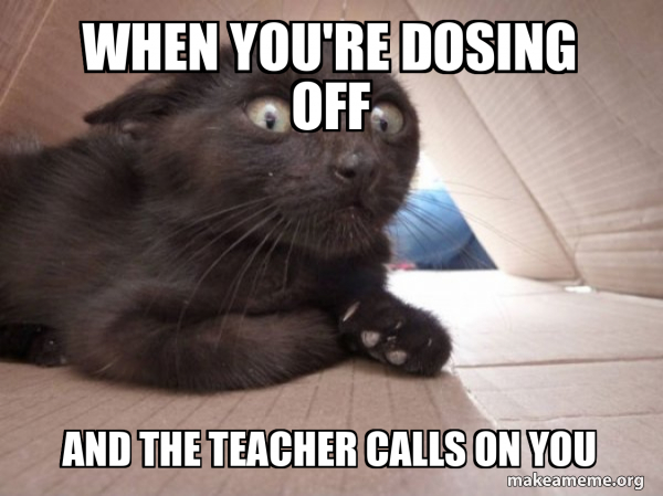 when you're dosing off and the teacher calls on you - Schitzo Cat Meme ...