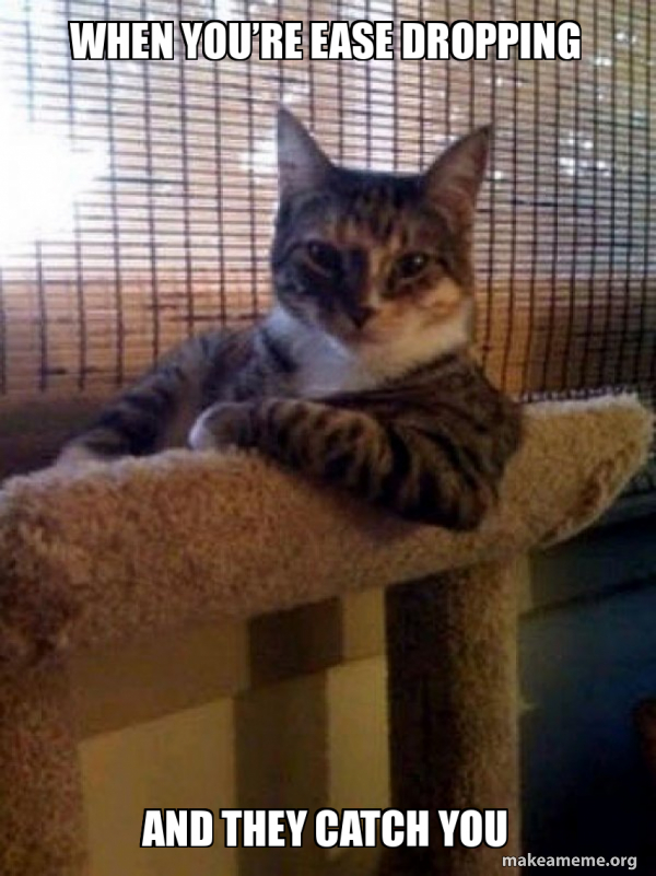 When you’re ease dropping And they catch you - The Most Interesting Cat ...