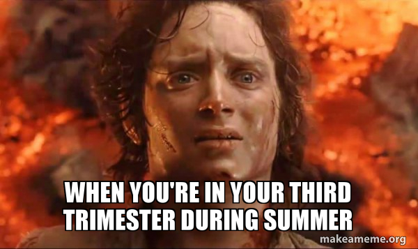 Pregnancy Third Trimester Meme When You're In Your Third Trimester