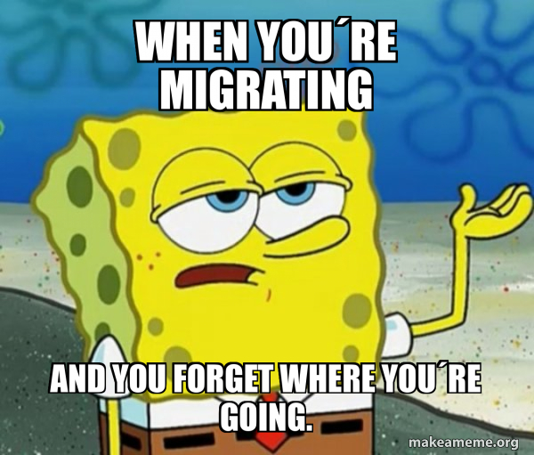 When you´re migrating and you forget where you´re going. - Tough ...