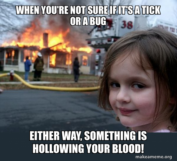 When you're not sure if it's a tick or a bug Either way, something is ...