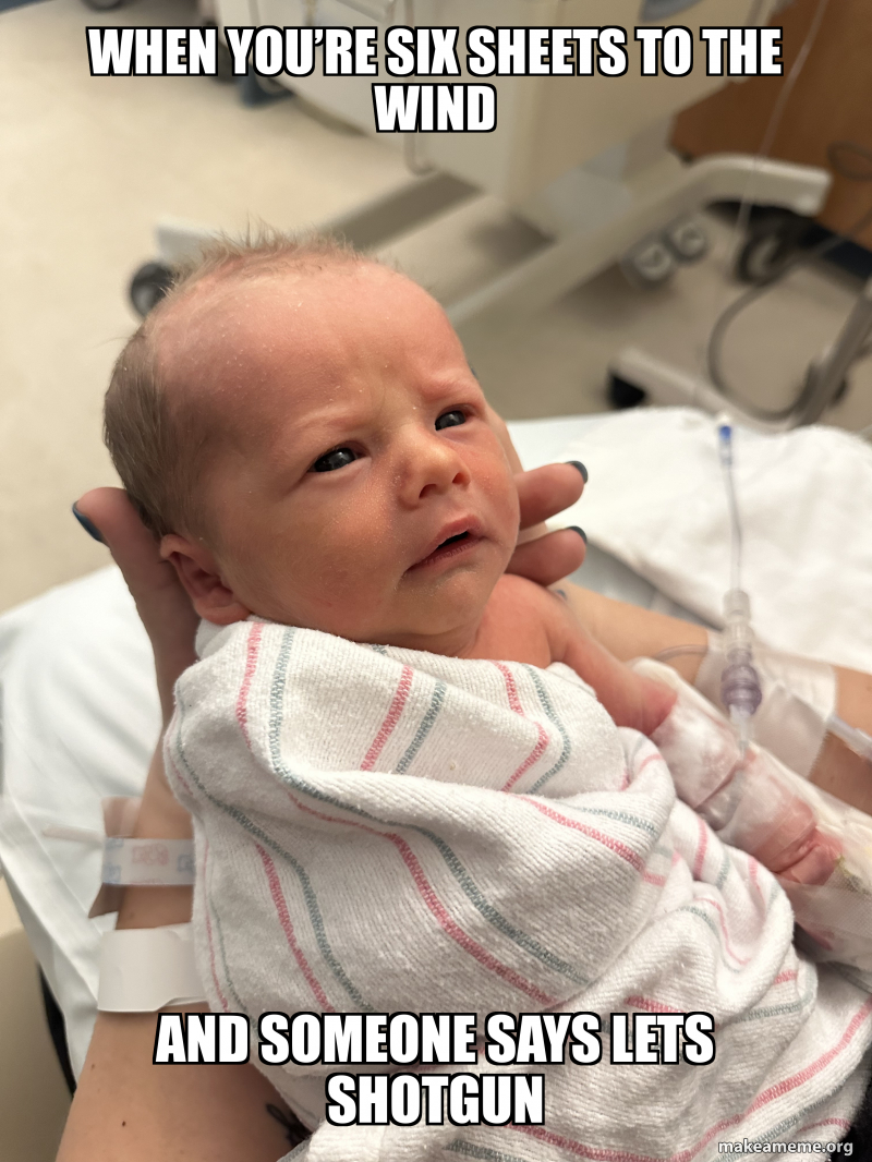 When You’Re Six sheets to the wind And someone says Lets Shotgun Meme ...