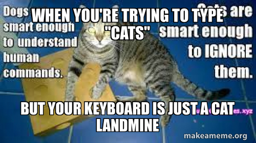 When you're trying to type "cats" But your keyboard is just a cat ...
