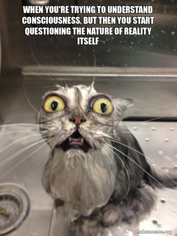 When you're trying to understand consciousness, but then you start ...